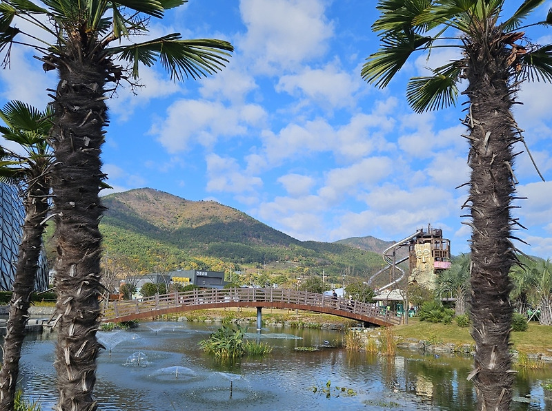 2025년 을사년을 잘 보내기 위하여