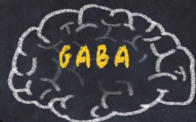 GABA란 무엇인가