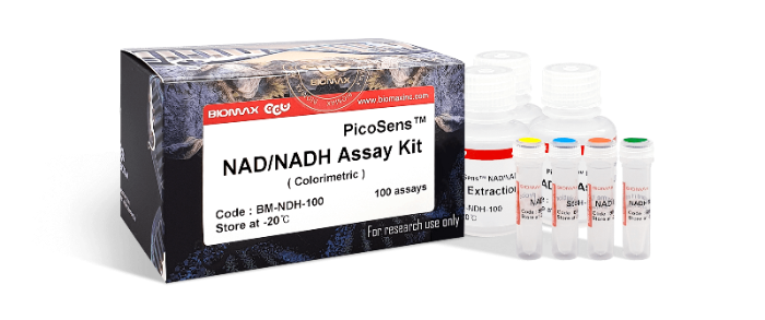 PicoSens™ NAD/NADH Assay Kit (Colorimetric) :: BIOMAX.COM