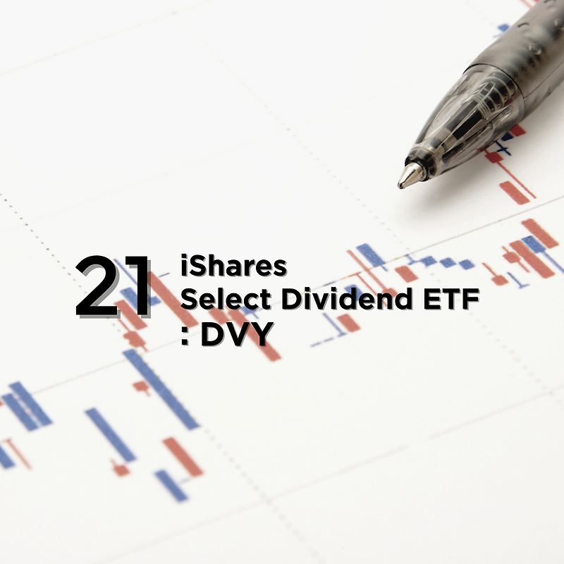 [미국주식] 미국 배당투자 DVY ETF