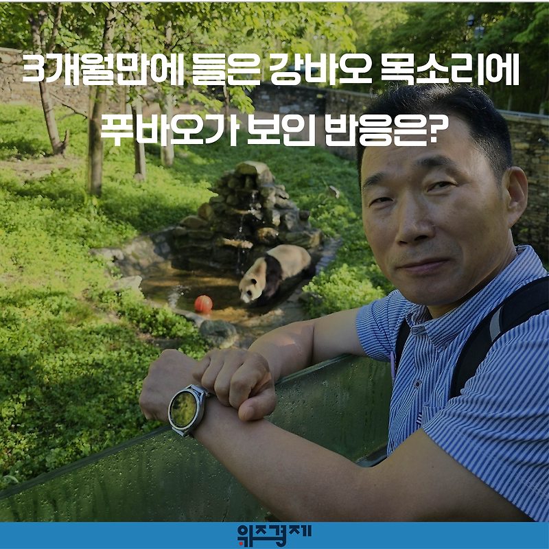 3개월만에 들은 강바오 목소리에 푸바오가 보인 반응은 