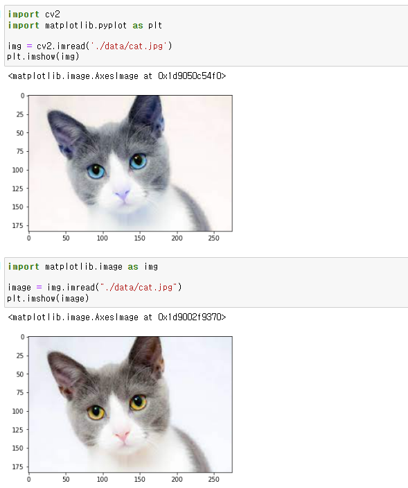 OpenCV 를 활용한 동영상 처리 (Face Detection)