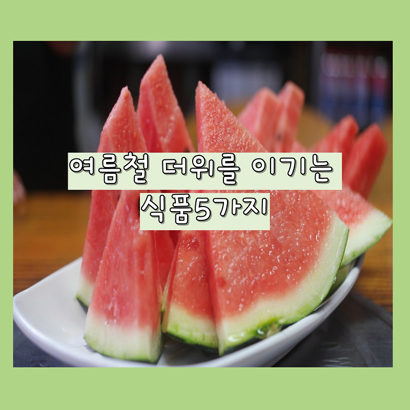 Scode Mtistory2andfname 3a 2f 2fdn 2fb4lgkk