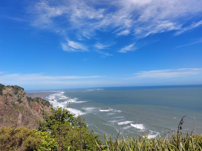 뉴질랜드 mercer bay loop walk : 숨 막힐듯한 절경 속으로 떠나는 하이킹