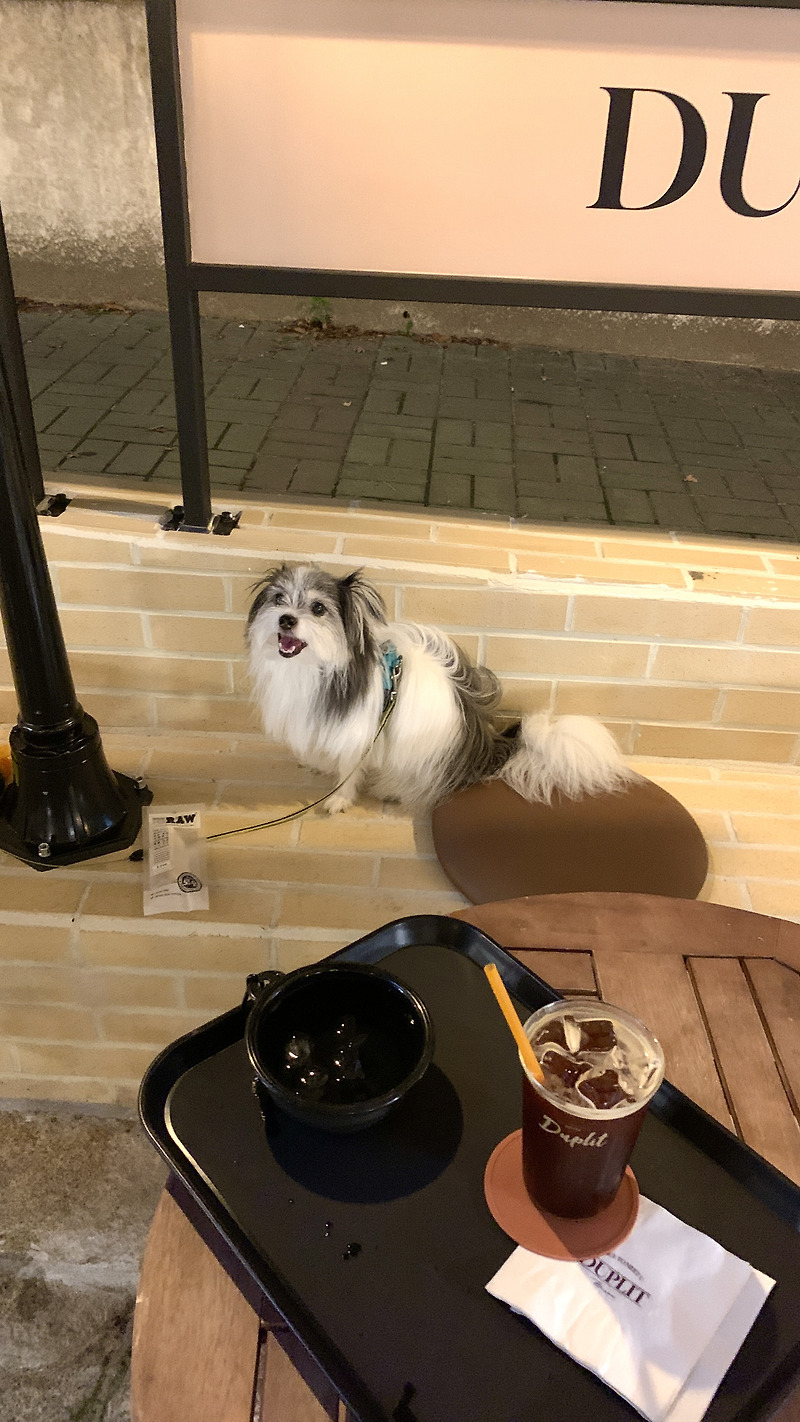 [광안리카페]애견동반🐶 산책가다 앉아쉬기 좋은 애견동반카페 듀플릿,Duplit cafe 영업시간 위치