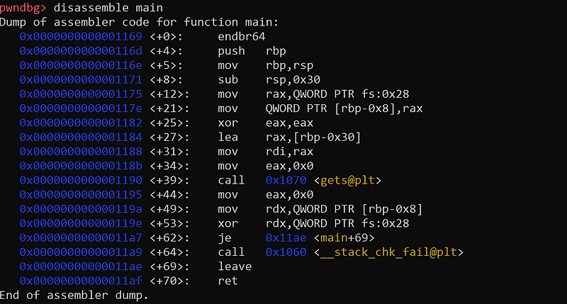 빡공팟 9주차 과제 (NX, ASLR, Canary, ROP) :: constant2718