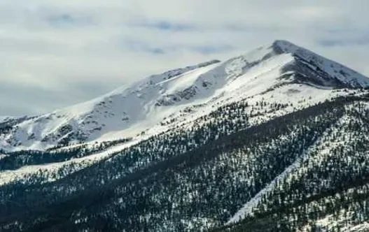 자동차세 연납 신청 기한이 지났을 때 대처 방법과 추가 할인 가능 여부 - 살랑살랑