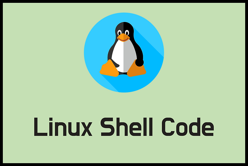 Linux Shell Code