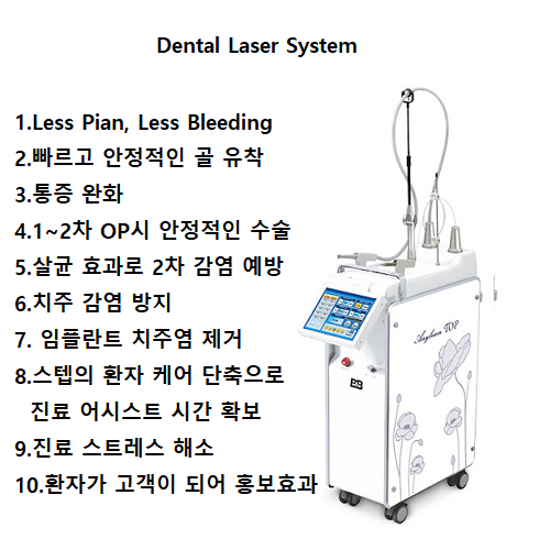 Dental Laser System 특판