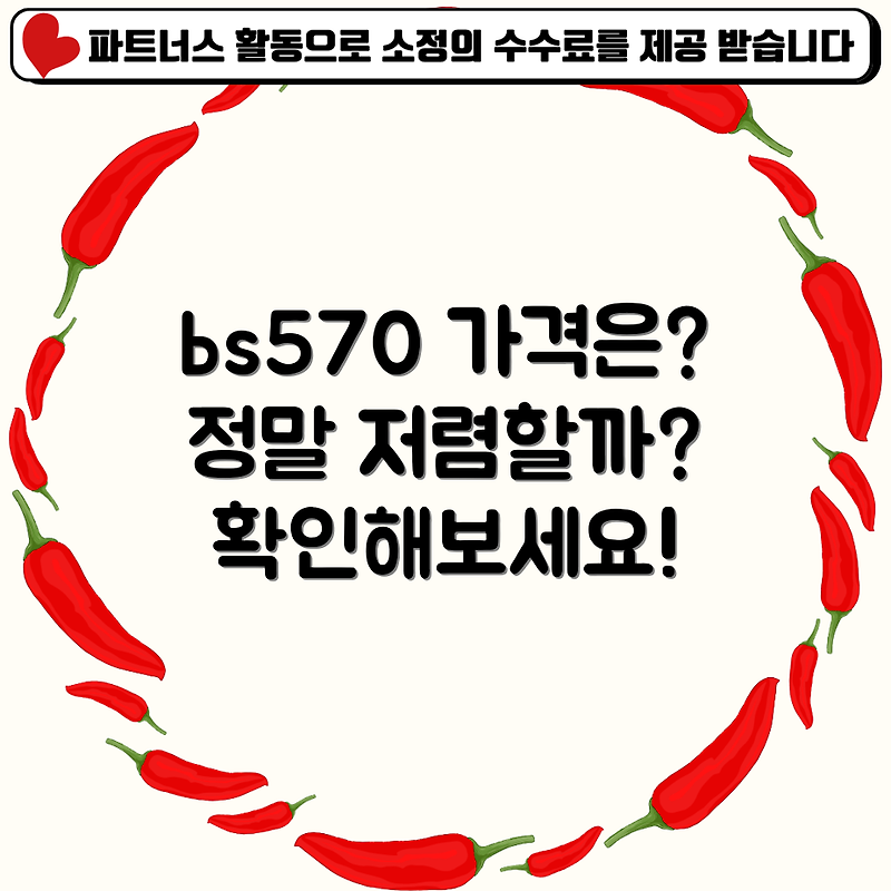bs570 가격은 정말 저렴할까요?