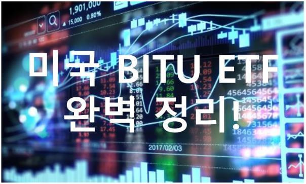 미국 BITU ETF 완전 정리!