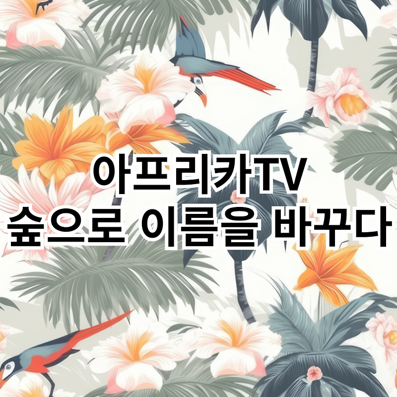 아프리카TV SOOP으로 사명 변경 :: 날마다 행복 가득하기를