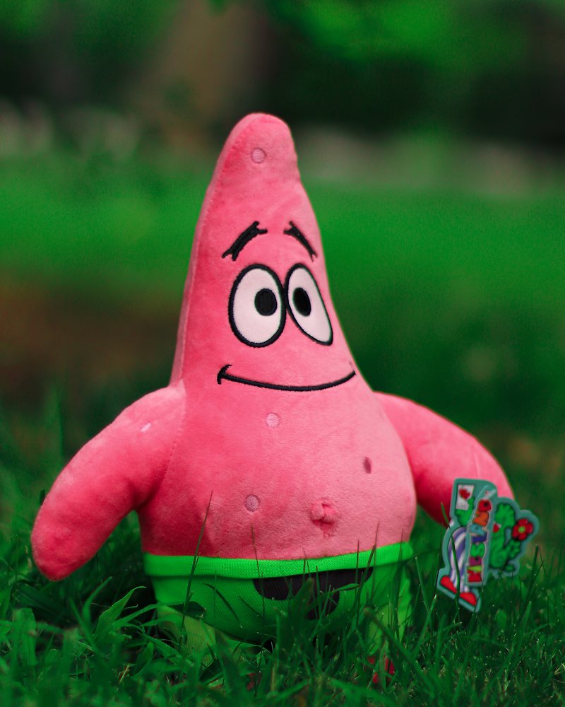 [DFS/BFS] 백준 2468 안전 영역 Python 풀이 - BFS