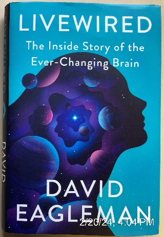David Eagleman, "Livewired" :: 삶의 재미