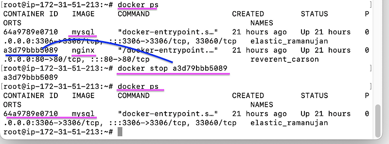 AWS & Docker - container 편집, glances