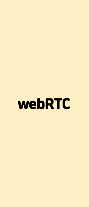 1. webRTC 기초 정리