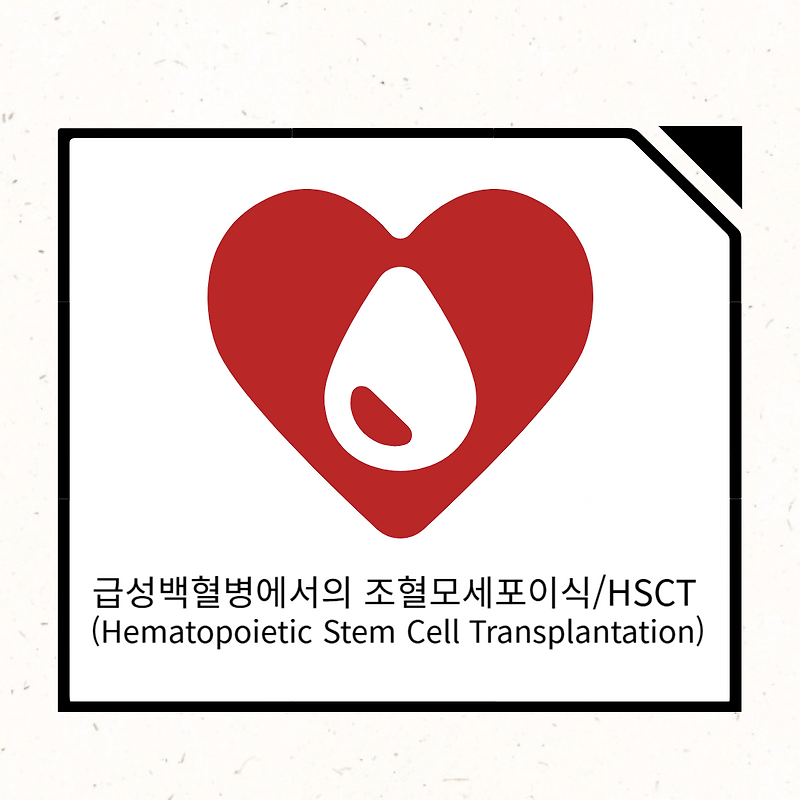 급성백혈병에서의 조혈모세포이식 (Hematopoietic Stem Cell Transplantation, HSCT)