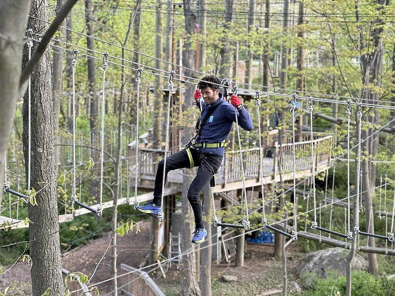 The Health Benefits of Natural Low Ropes Courses in NY - InsightHealth ...