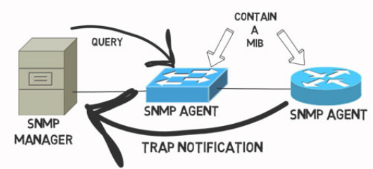 4.4 Explain the function of SNMP in network operations