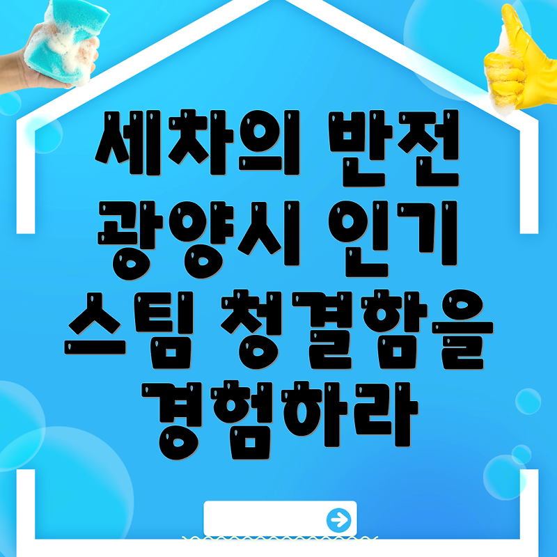 광양시 스팀세차