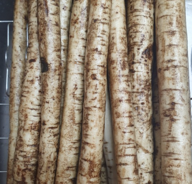 우엉 효능 보관방법 레시피