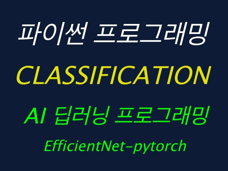 파이썬 프로그래밍 Classification EfficientNet