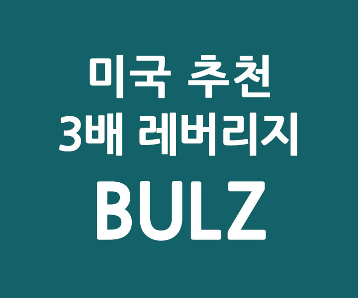 MicroSectors FANG & Innovation (BULZ) 3배 레버리지 미국 ETF추천