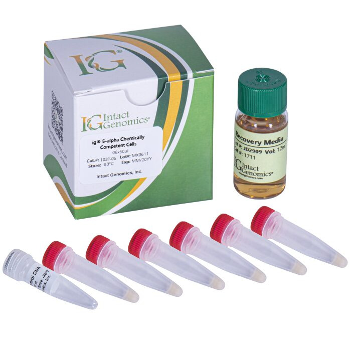 [IntactGenomics] ig® 5-alpha Chemically Competent Cells