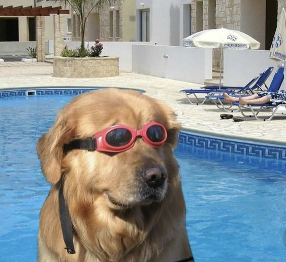 Linux Security Model (AppArmor, SELinux) — 개발 바닥