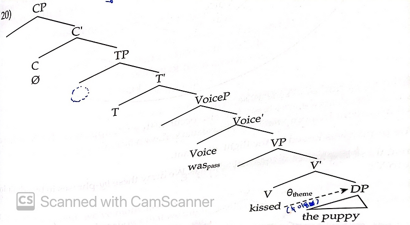 syntax ch.11 DP movement :: ambiguity tolerance