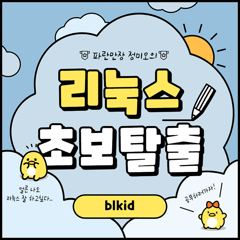 [리눅스] 쉘 명령어 | 디스크 파티션 uuid, type 확인 - blkid