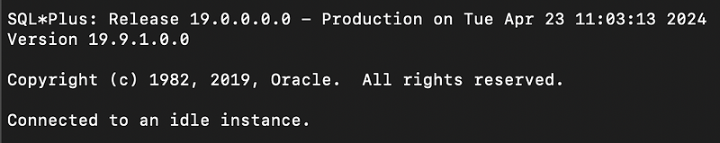 ORACLE 인스턴스 기동 시 ORA-16032 에러 해결 방법