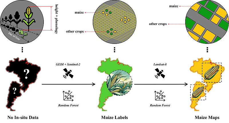 Maize Maps