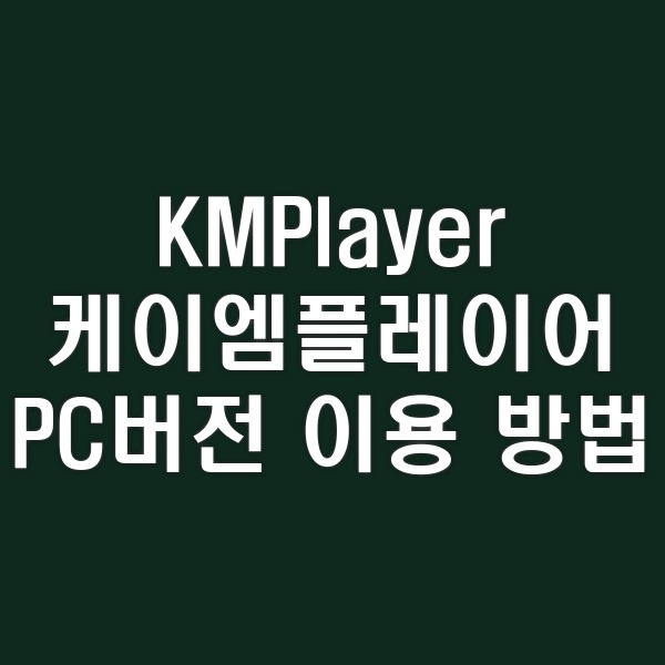 KMPlayer 케이엠플레이어 PC버전 이용 방법 | 앱 설치하기