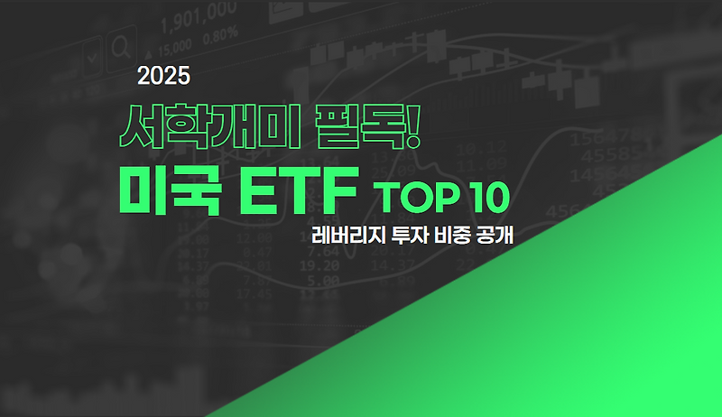 [미국주식] 2025 서학개미 필독! 미국 ETF Top 10과 레버리지 투자 비중 공개