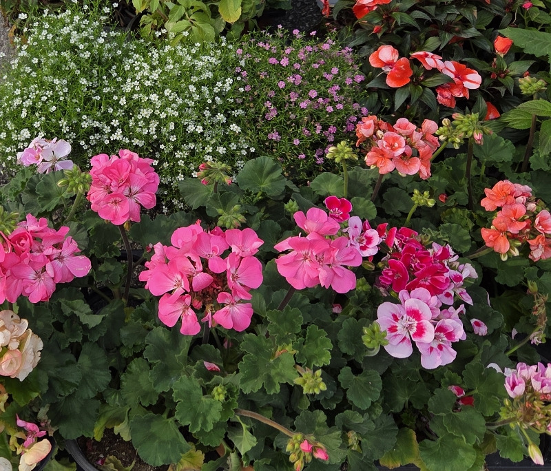 성년의 날 멘트, 선물보다 오래 남는 건 말 한마디였습니다