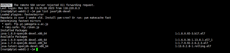 CentOS7 Java1.8 -> Java11 버전 변경