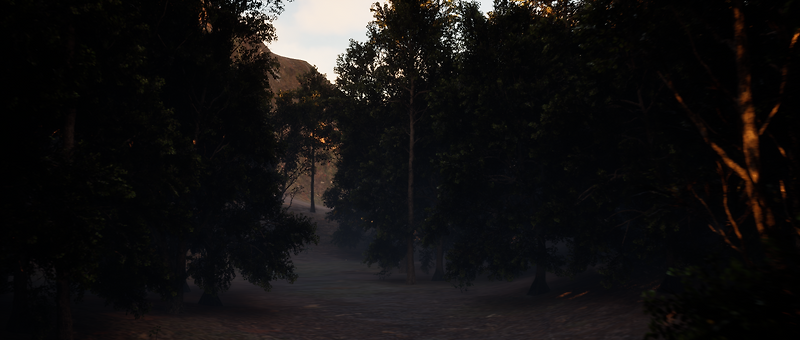 Unreal Engine Camera Shake