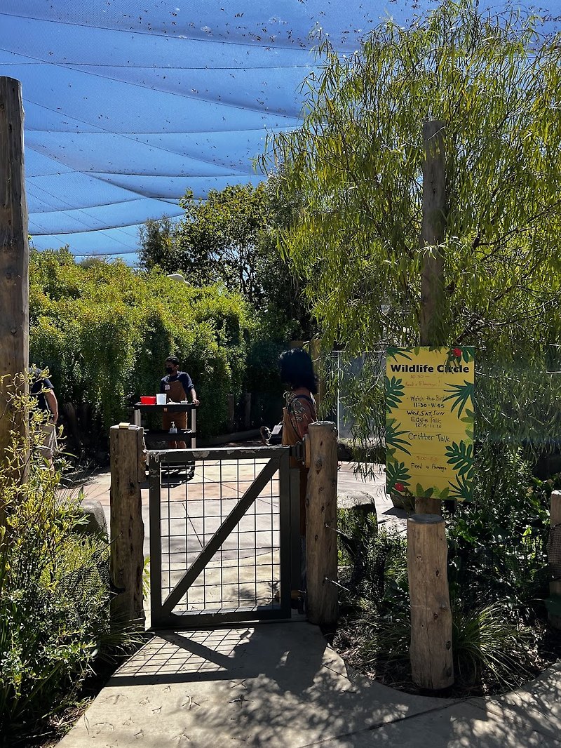 샌프란시스코 여행, 팔로알토 주니어 동물원 Palo Alto Junior Museum & Zoo