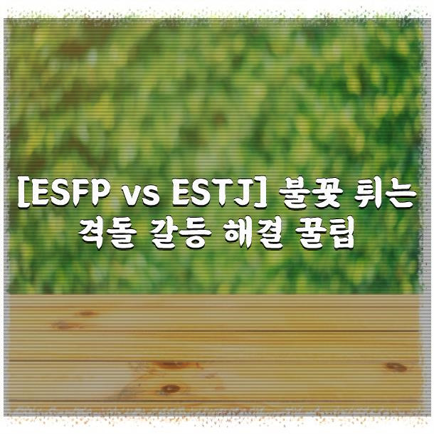 [ESFP vs ESTJ] 불꽃 튀는 격돌 갈등 해결 꿀팁