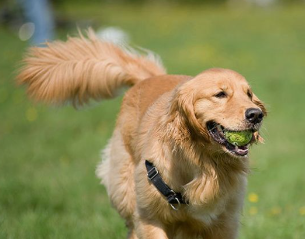 ?scode=mtistory2&fname=https:%2F%2Fblog.kakaocdn.net%2Fdn%2FbC80ek ...