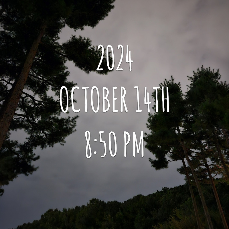 241014 - 페이스 조절