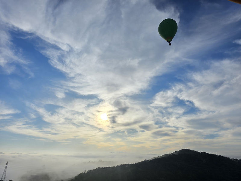 콜레스테롤 관리 – LDL 낮추고 HDL 높이는 식단과 운동법