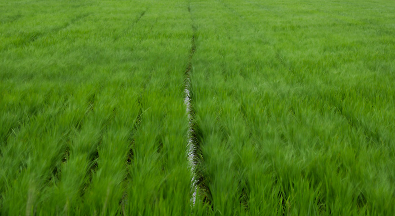 [S5M2][24-105] 그저 바람을 담고 싶었다 :: 082 photogrㅐphy