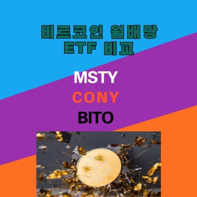 비트코인 고배당 ETF MSTY, CONY 코니, BITO 주가 배당금 수익률 비교