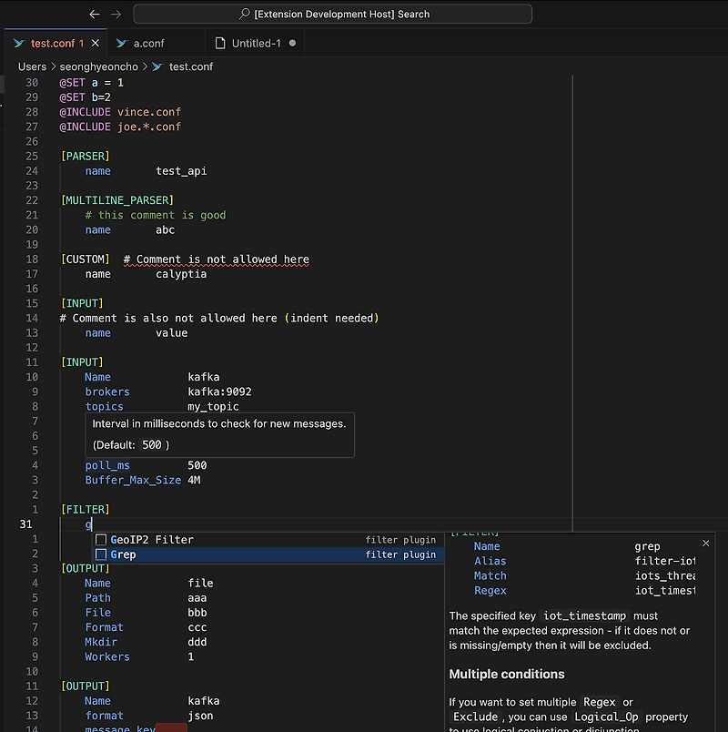 vscode-fluent-bit 확장 소개 (fluent-bit-lsp)
