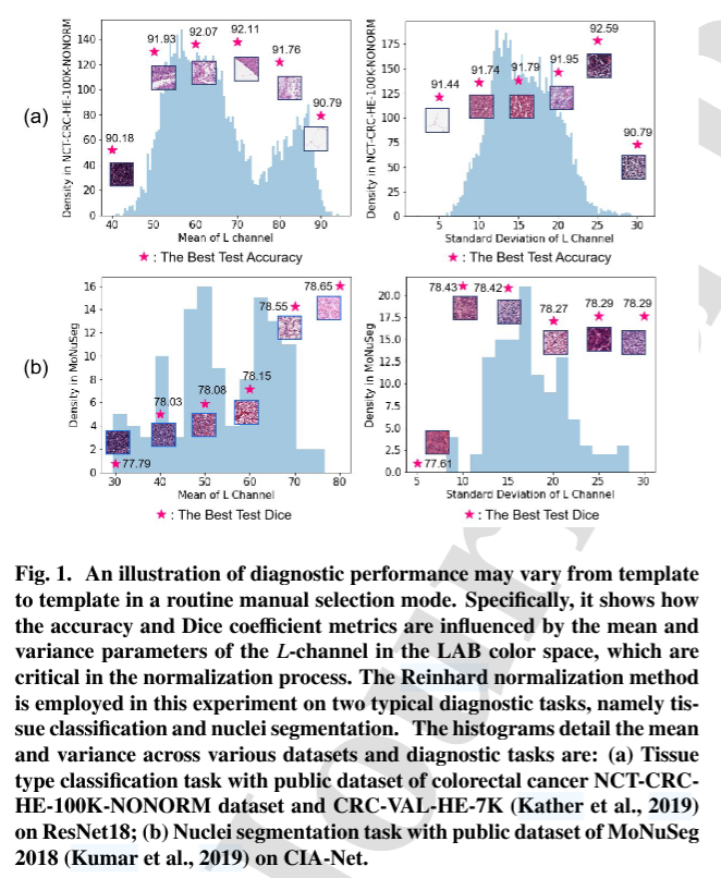 Learnable color space conversion and fusion for stain normalization in ...