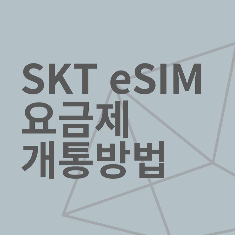 SKT eSIM 요금제 정리 | SKT eSIM 개통방법 정리