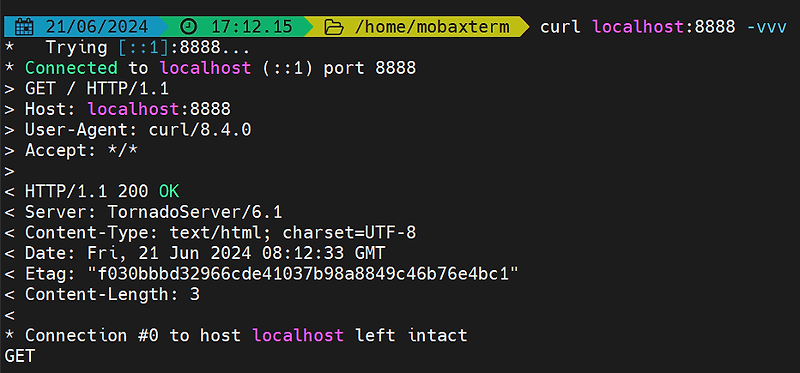 [Tornado] RequestHandler - 기타 요청 데이터 접근