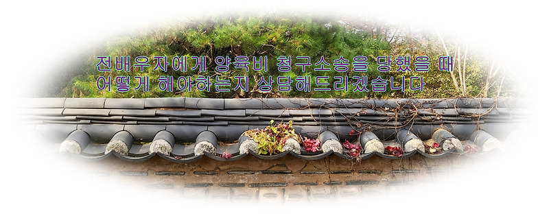 협의이혼할때 양육비를 안받기로 합의했으나 갑자기 과거양육비하고 장래양육비 청구소송해서 소장을 받았을때 과거양육비청구기각 및 장래양육비감액주장 답변서제출 대응 방법 상담